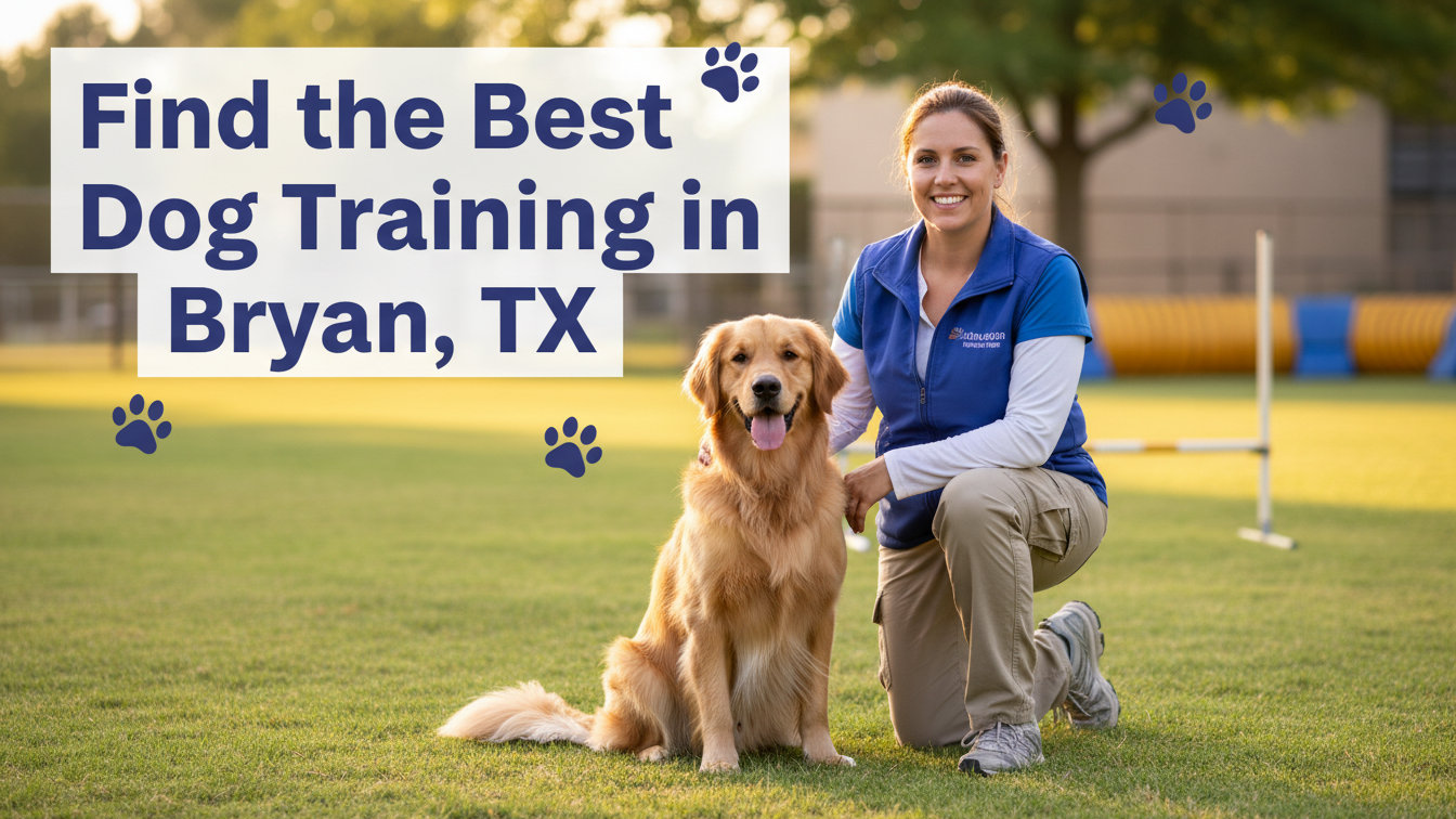Best Dog Trainers in Bryan, TX 2026 | Goody Doggy