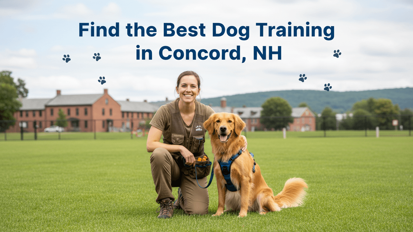 Best Dog Trainers in Concord, NH 2026 | Goody Doggy